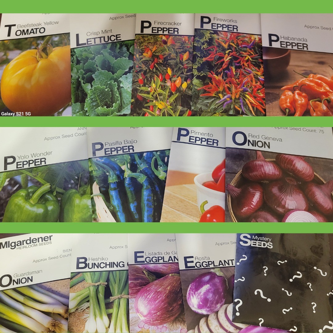 Top Suggested Brands for Aeroponic and Hydroponic Nutrients: Nourishing ...